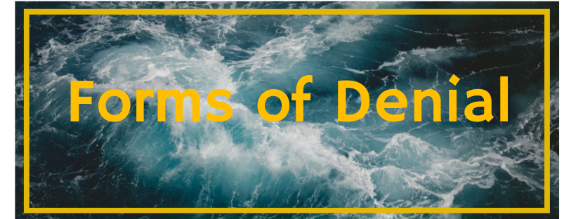 Abusers, Denial, and 10 Tips From Their Playbook – Carolyn Deevers